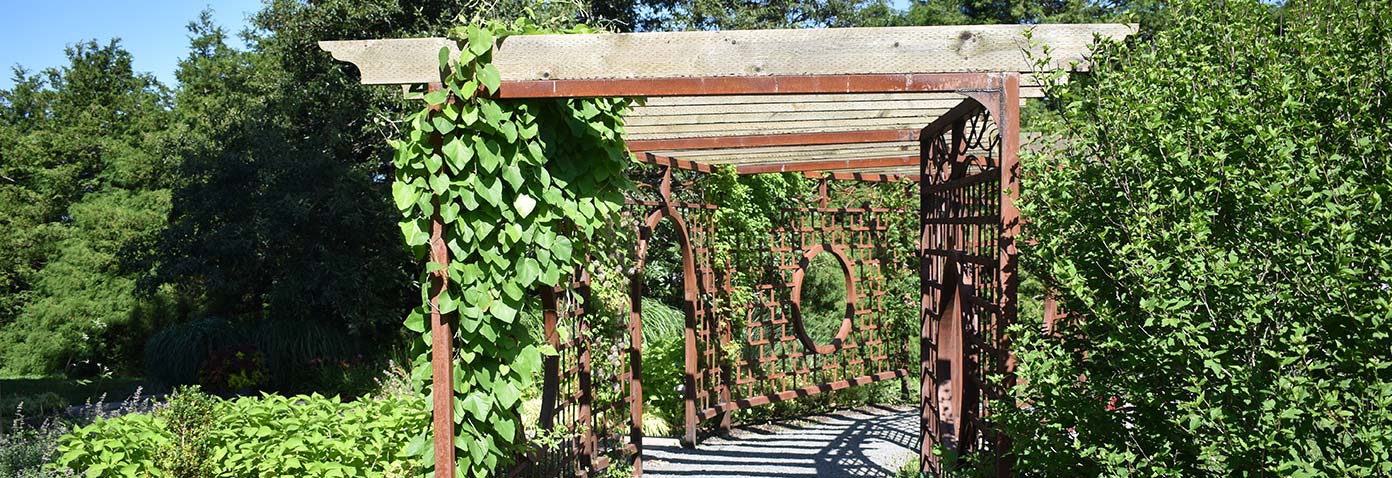 Home - Village of Bible Hill, Nova Scotia