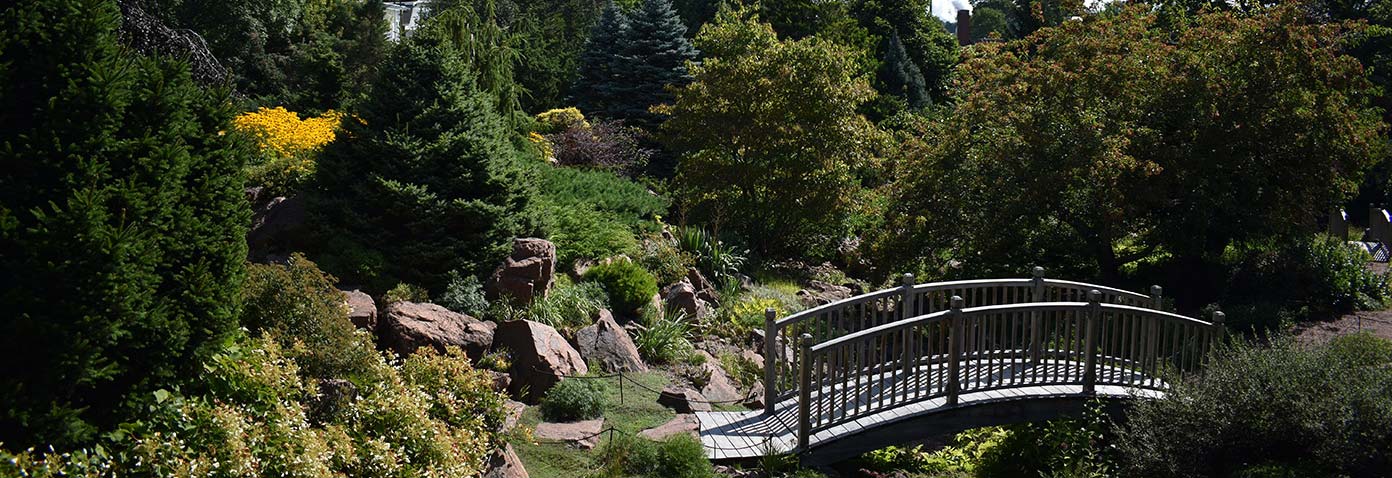 Home - Village of Bible Hill, Nova Scotia